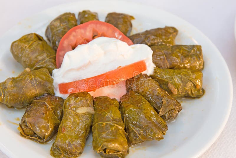 Dolma stock photo. Image of lamb, green, meal, dish, garnish - 43056320