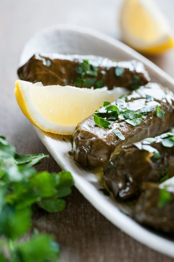 Dolmas,appetizer stock image. Image of dolmas, countries - 9207853