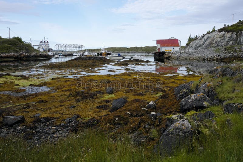 Dolmoy,Hitra - Norway stock photo. Image of house, dolmoy - 127727414