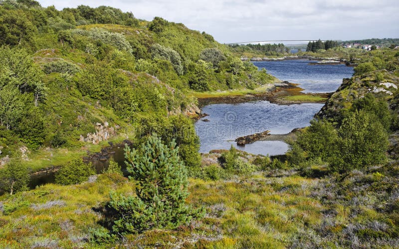 Dolmoy,Hitra - Norway stock photo. Image of windy, shore - 131091864