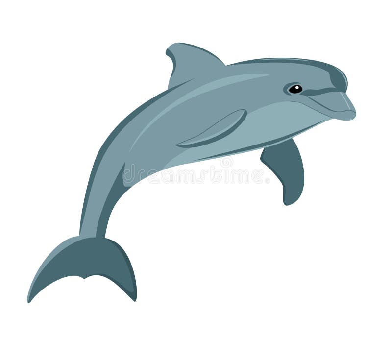 Delphinus Delphis - Common Dolphin - Side View - Flat Vector Stock ...