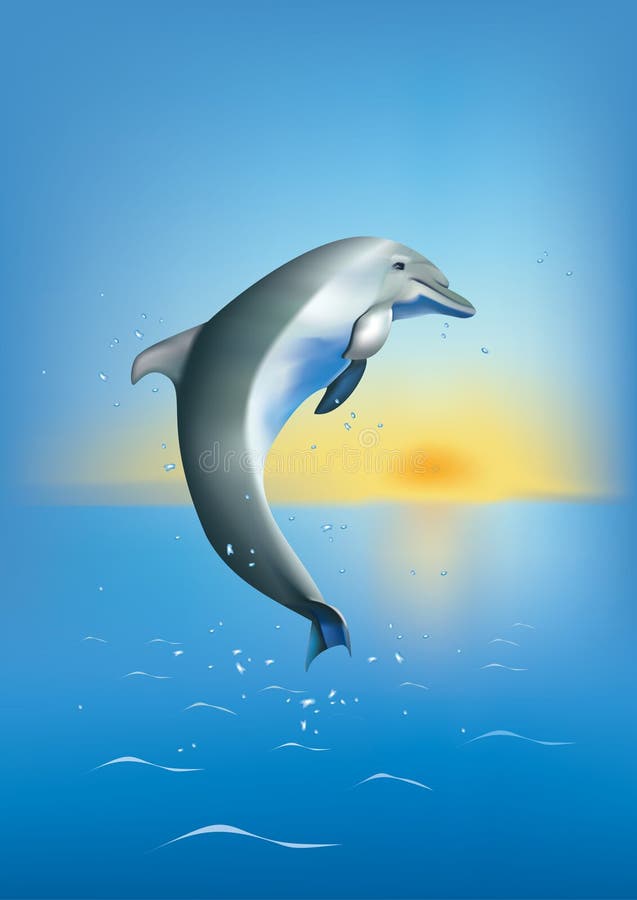Dolphin Sunset Stock Illustrations – 627 Dolphin Sunset Stock ...