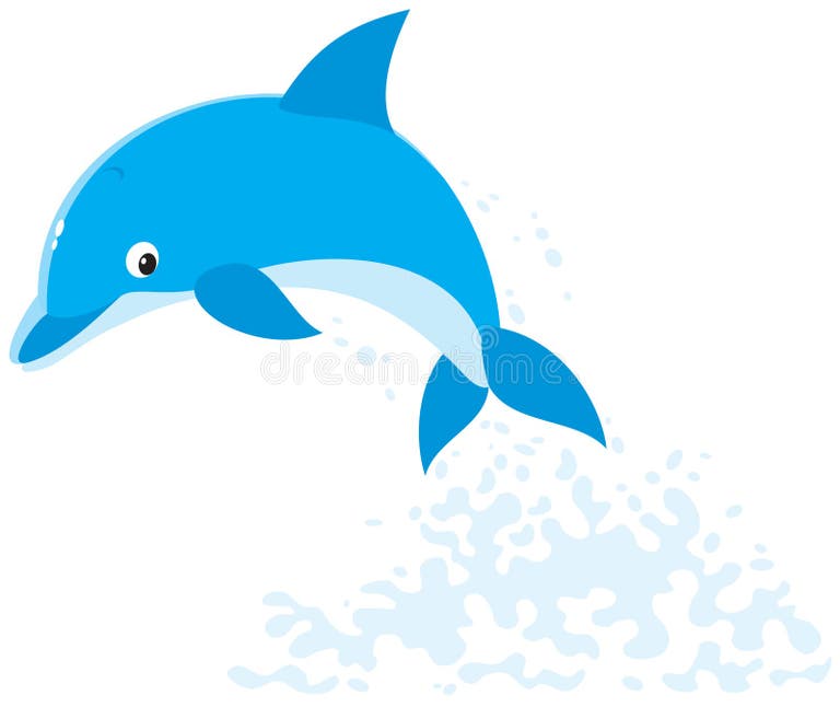 Playful Dolphin Leaping Vector Illustration Stock Illustrations – 959 ...