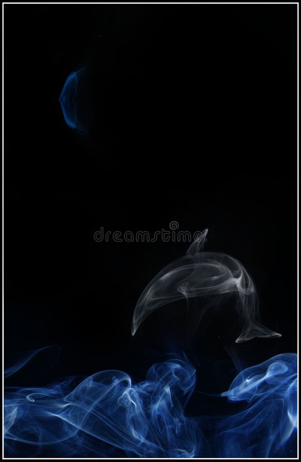 Dolphin stock photo. Image of porpoise, ocean, abstract - 7726868