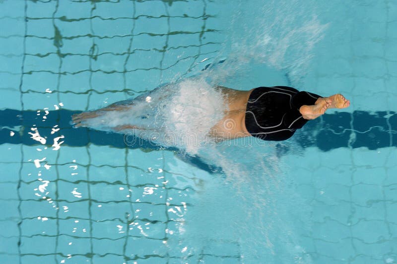 Dolphin dive 01 stock image. Image of start, pool, dolphin - 1917737