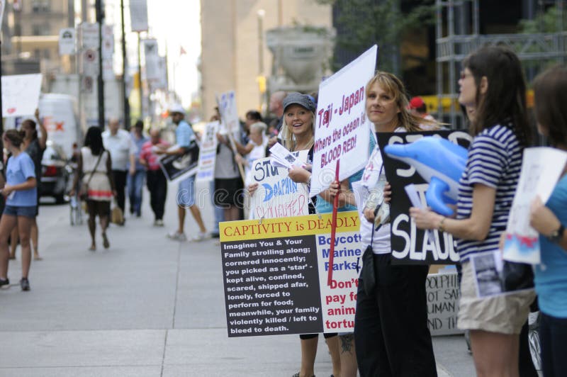 Dolphin hunting protest. editorial photo. Image of kill - 26393131