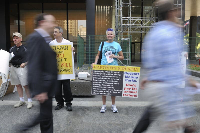 Dolphin hunting protest. editorial photo. Image of kill - 26393131