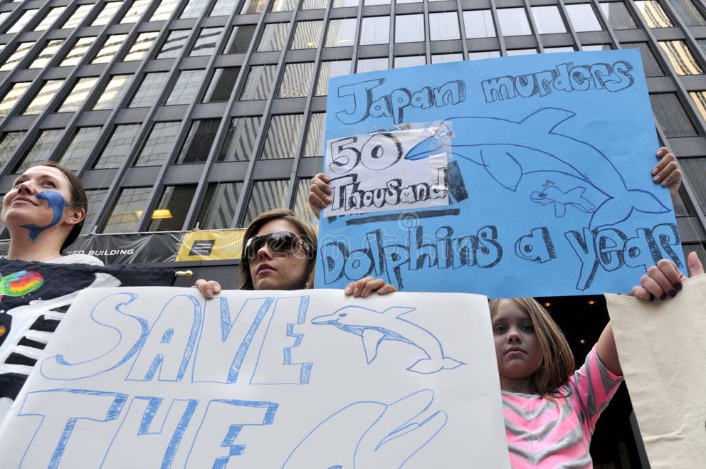 Dolphin hunting protest. editorial stock photo. Image of murderer ...