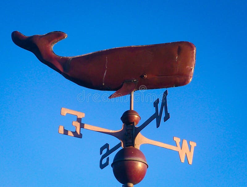 Dolphin Navigation Compass Stock Photos - Free & Royalty-Free Stock ...