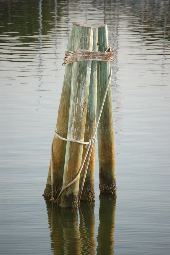 Dolphin Pilings stock photo. Image of cable, lashing, strong - 703024