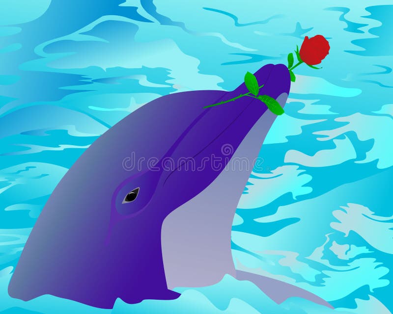 Dolphin and a rose stock vector. Illustration of flower - 13521802