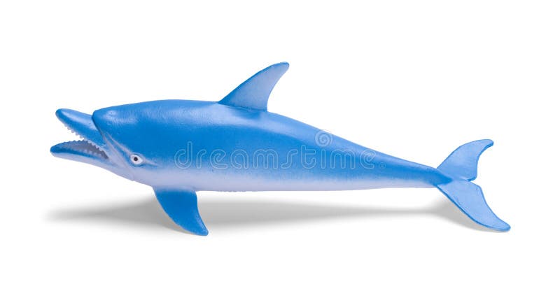 Dolphin Side View stock image. Image of blue, white - 161367959