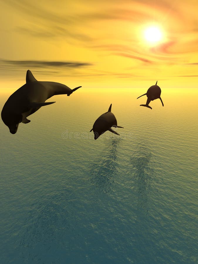 Dolphin and sunset stock image. Image of landscape, mammal - 7287567