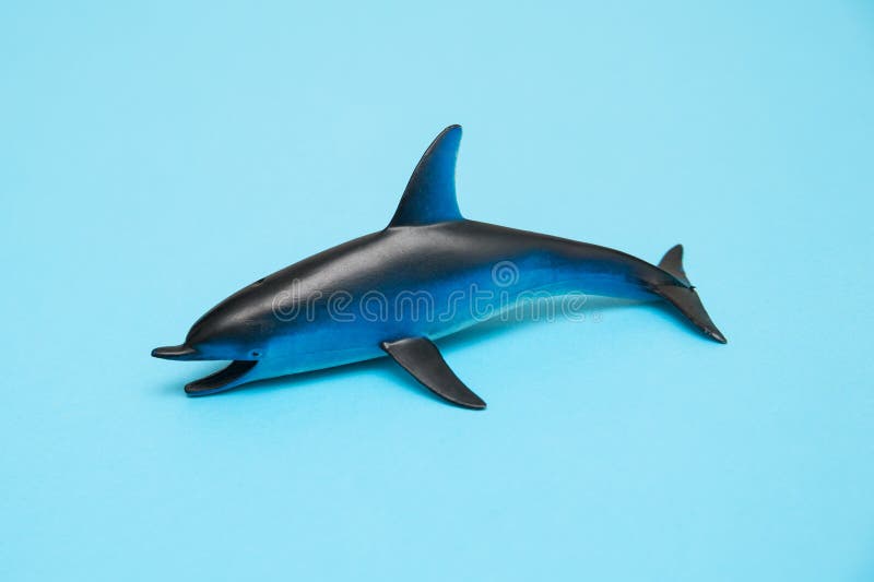 Dolphin Toy on Blue Background. Stock Photo - Image of isolated ...