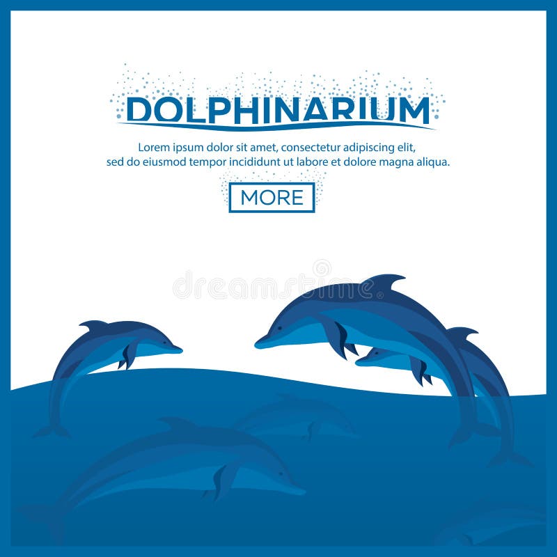 Dolphinarium. Dolphin Show. Banner. Ticket. Vector Flat Illustration ...