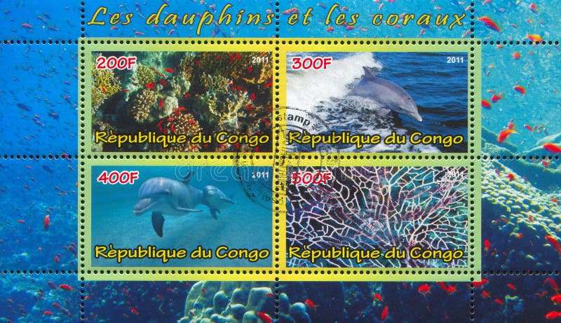 Dolphins and Corals editorial stock photo. Image of corals - 320354683