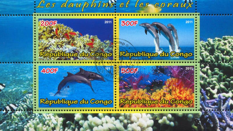 Dolphins and Corals editorial photography. Image of ocean - 320354757