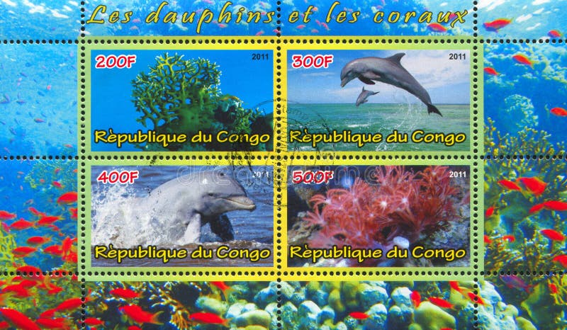 Dolphins and Corals editorial photo. Image of reef, dolphins - 320354856