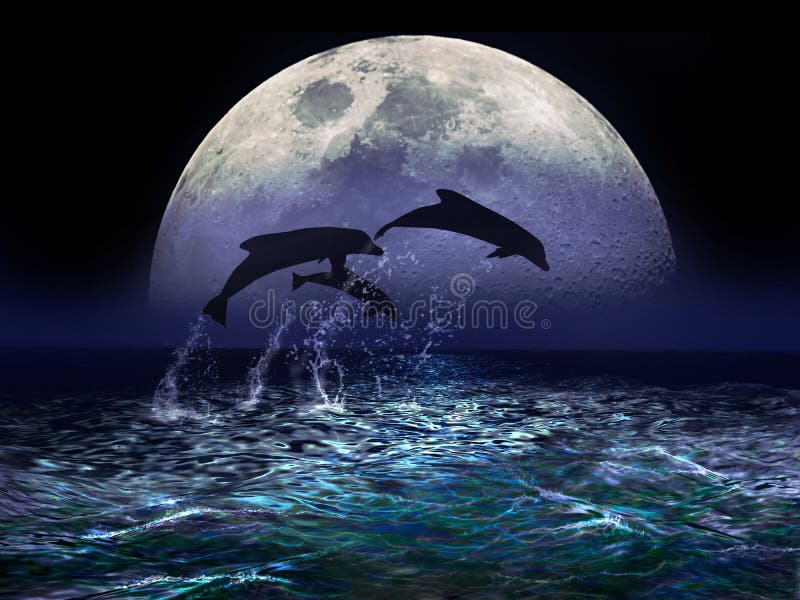 Dolphins and Moon stock illustration. Illustration of moon - 14021833