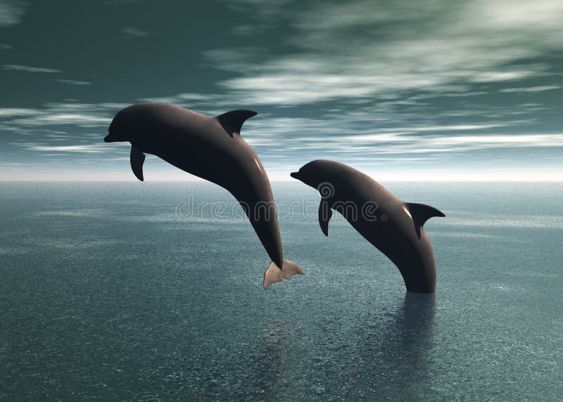 Dolphins Playing stock image. Image of game, jump, silhouette - 1939589
