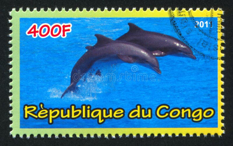 Dolphins printed by Congo editorial stock photo. Image of postmark ...