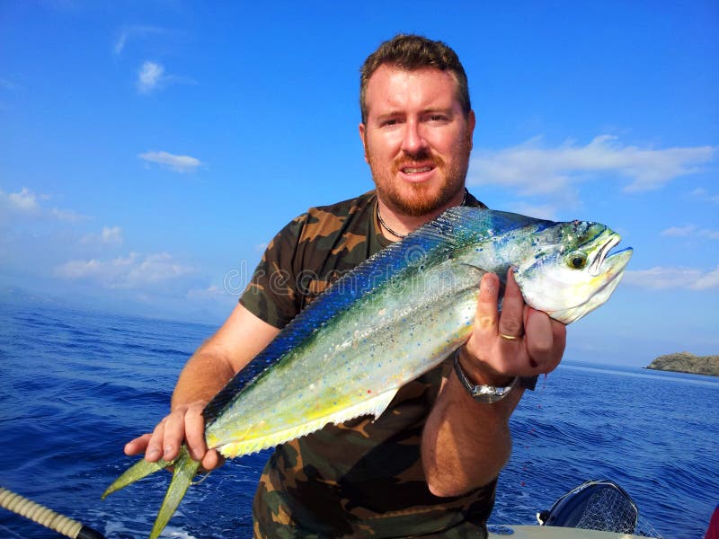 Dolphinsfish stock image. Image of water, boat, sport - 72502813