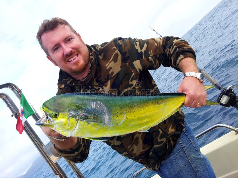 Dolphinsfish stock photo. Image of sport, nautical, vessel - 72503704