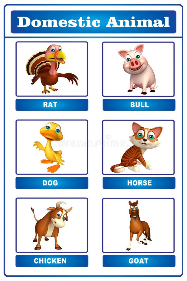 Domastic animal chart stock illustration. Illustration of duck - 70016102