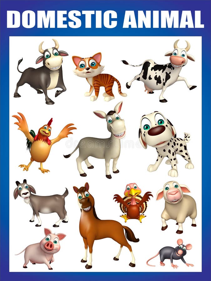 Domastic animal chart stock illustration. Illustration of chicken ...