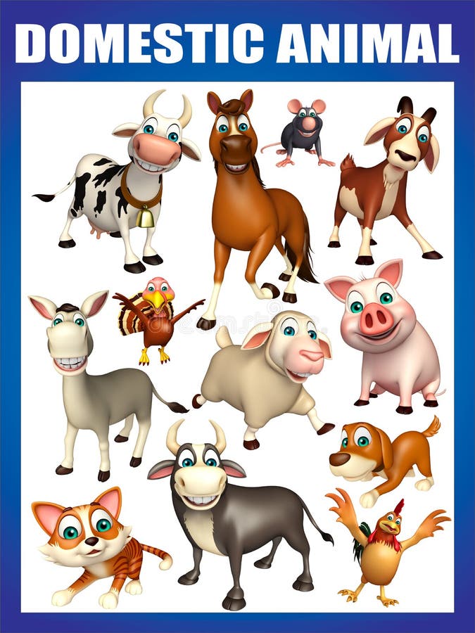 Domastic animal chart stock illustration. Illustration of agriculture ...
