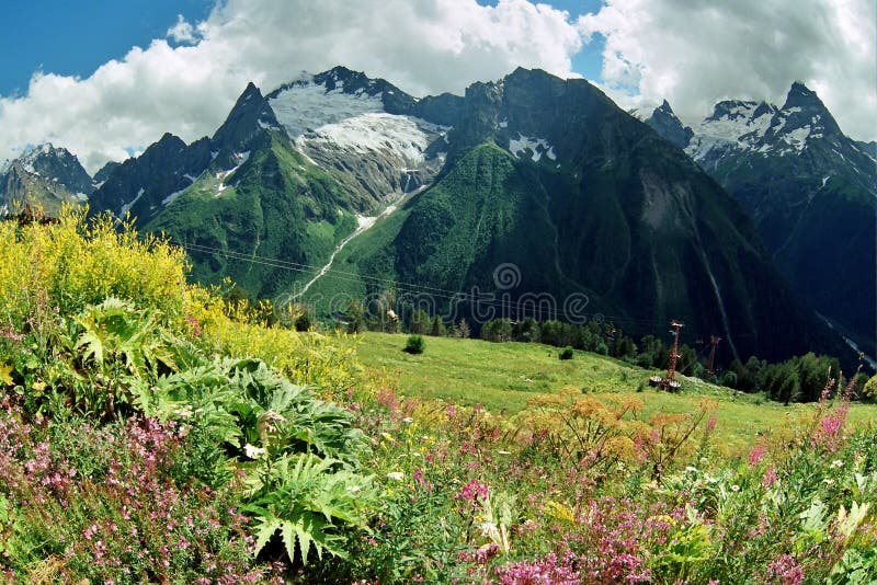 Dombai.Russia. stock photo. Image of russia, dombai, plant - 1877940