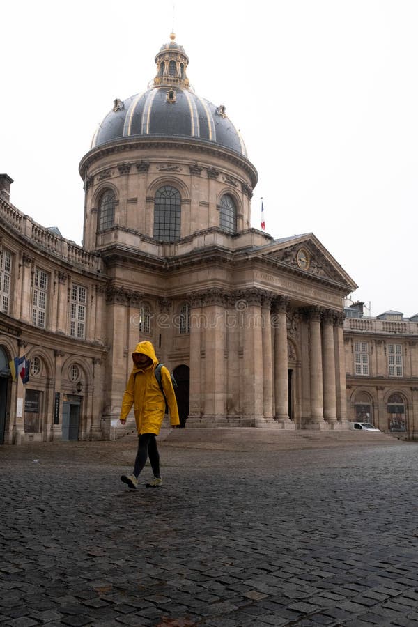Dome of the Beaux-Arts De Paris Editorial Stock Photo - Image of design ...