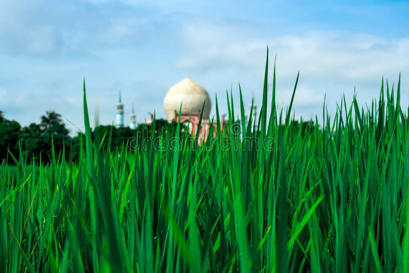 347 Rice Dome Stock Photos - Free & Royalty-Free Stock Photos from ...