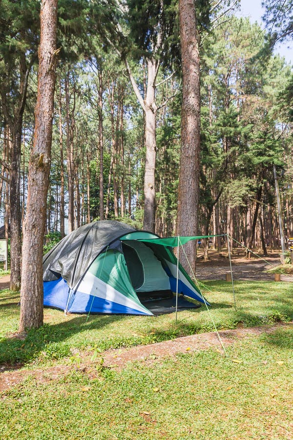 Dome Tent Camping in Forest Stock Photo - Image of discover, nature ...