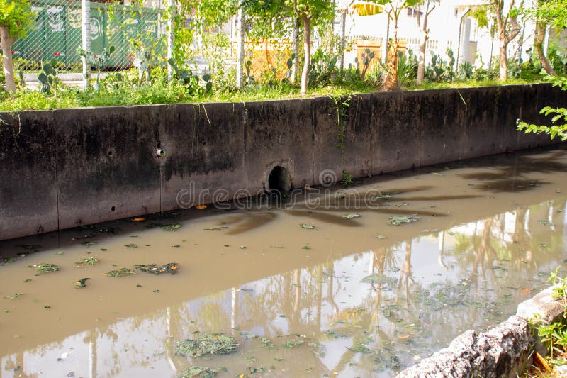 Domestic effluent channel. stock photo. Image of tree - 284907798