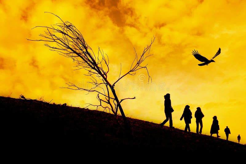 Domestic kitchen stock image. Image of furniture, domestic - 76242751