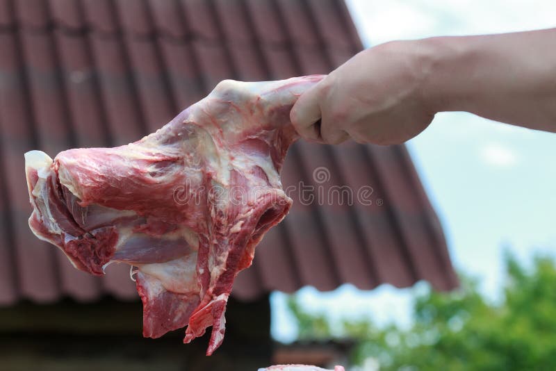 Domestic Lamb Butchered Fresh Meat Cut Stock Image - Image of carve ...