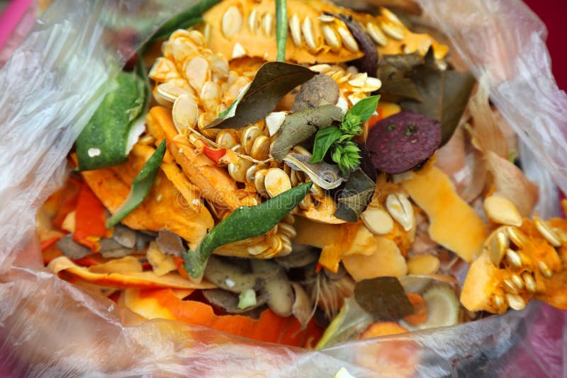 Domestic organic waste stock image. Image of fruit, biodegradation ...