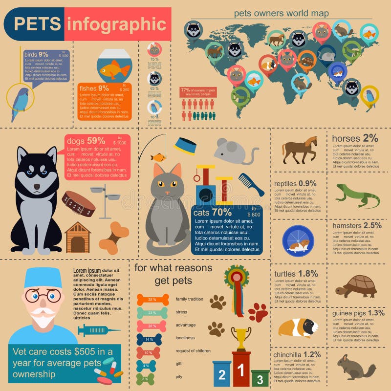 Domestic Pets Infographic Elements, Helthcare, Vet Stock Vector ...