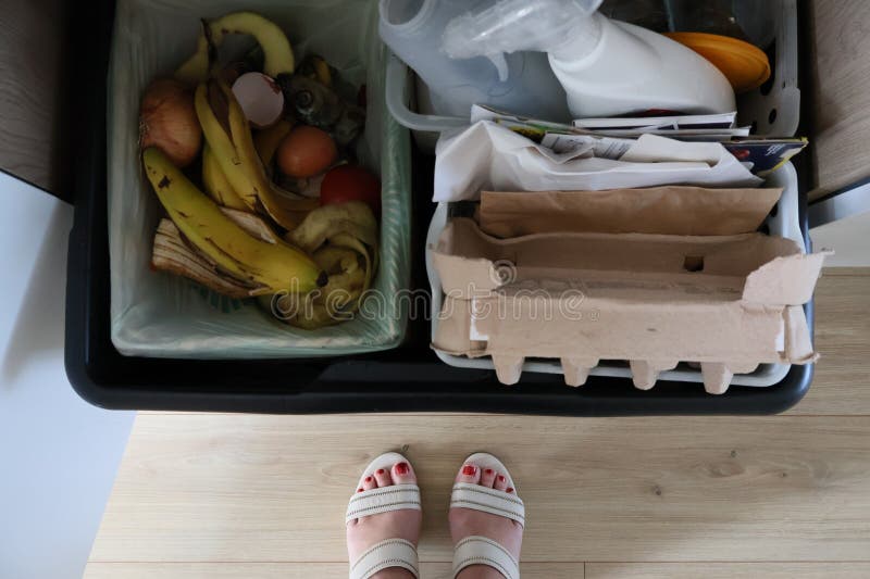 Domestic Recycling. a Top-down View of an Open Recycling Bin Inside the ...