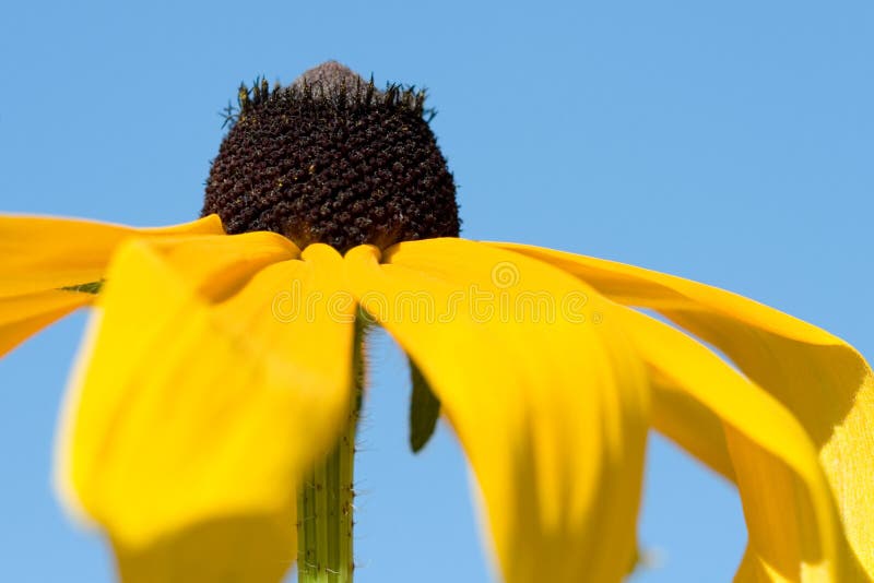 Dominación oblicuamente imagen de archivo. Imagen de asoleado - 2066455