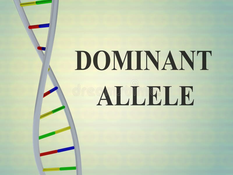 Allele Stock Illustrations – 227 Allele Stock Illustrations, Vectors ...