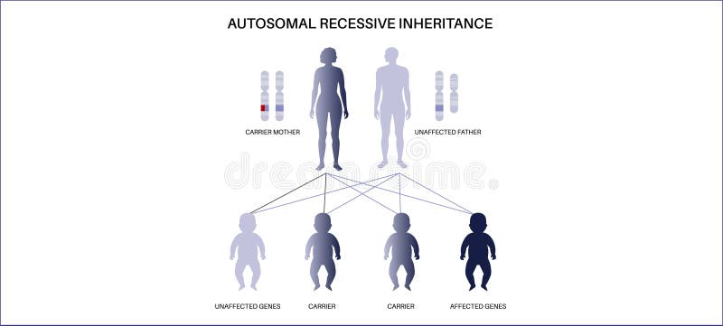 Inheritance Stock Illustrations – 5,455 Inheritance Stock Illustrations ...