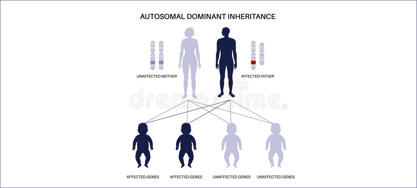 Inheritance Stock Illustrations – 5,083 Inheritance Stock Illustrations ...