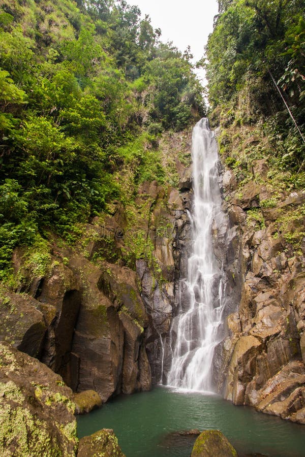 Dominica stock photo. Image of trees, caribbean, vacations - 29699526