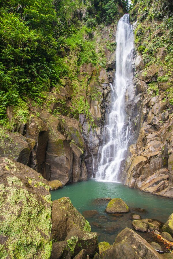 Dominica stock image. Image of forres, island, outdoor - 29699535