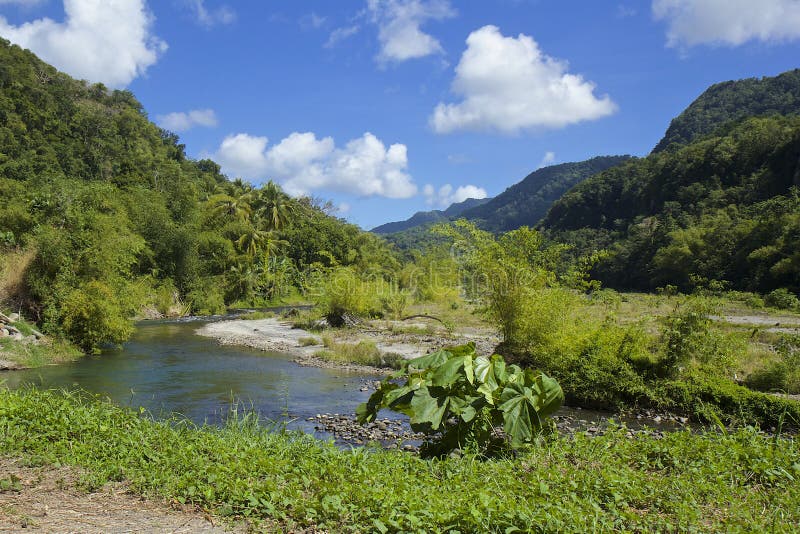 200 Dominica River Stock Photos - Free & Royalty-Free Stock Photos from ...