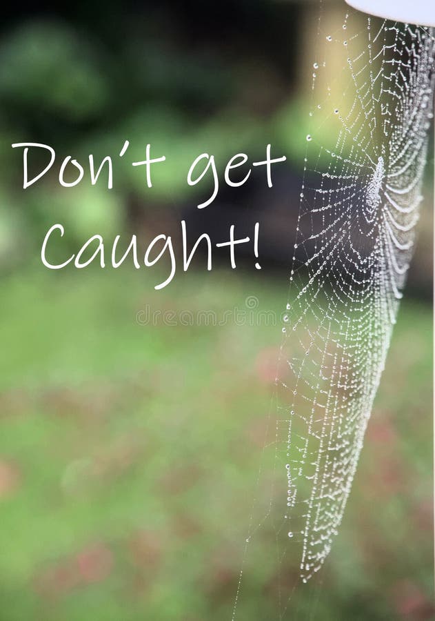 Don`t Get Caught - Warning Message with Spider Web Stock Photo - Image ... Don`t Get Caught - Warning Message with Spider Web Stock Photo - Image ...