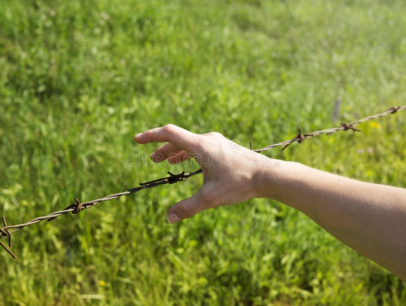 Don t touch this stock image. Image of human, finger - 48249523