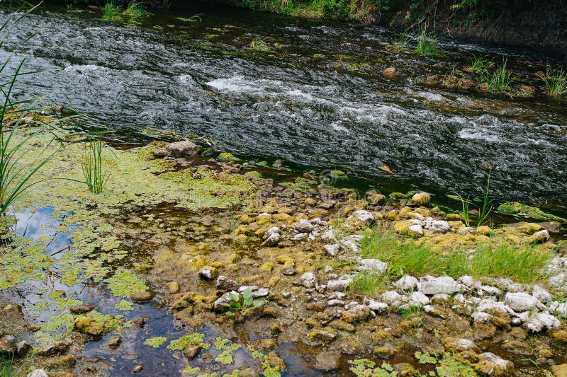 Donbass. Luhansk region stock photo. Image of luhansk - 215913102